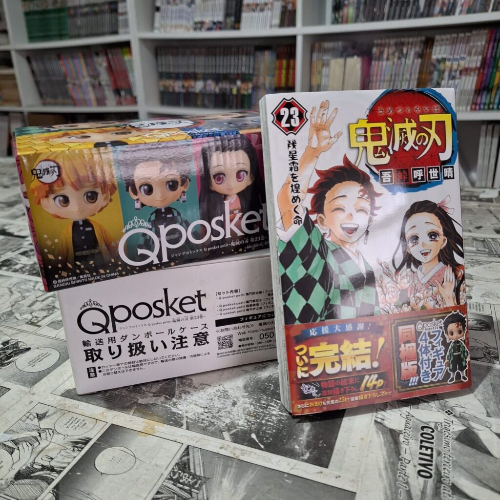Demon Slayer – Vol.23 Special Edition (Em Japonês) (Lote Futuro ...